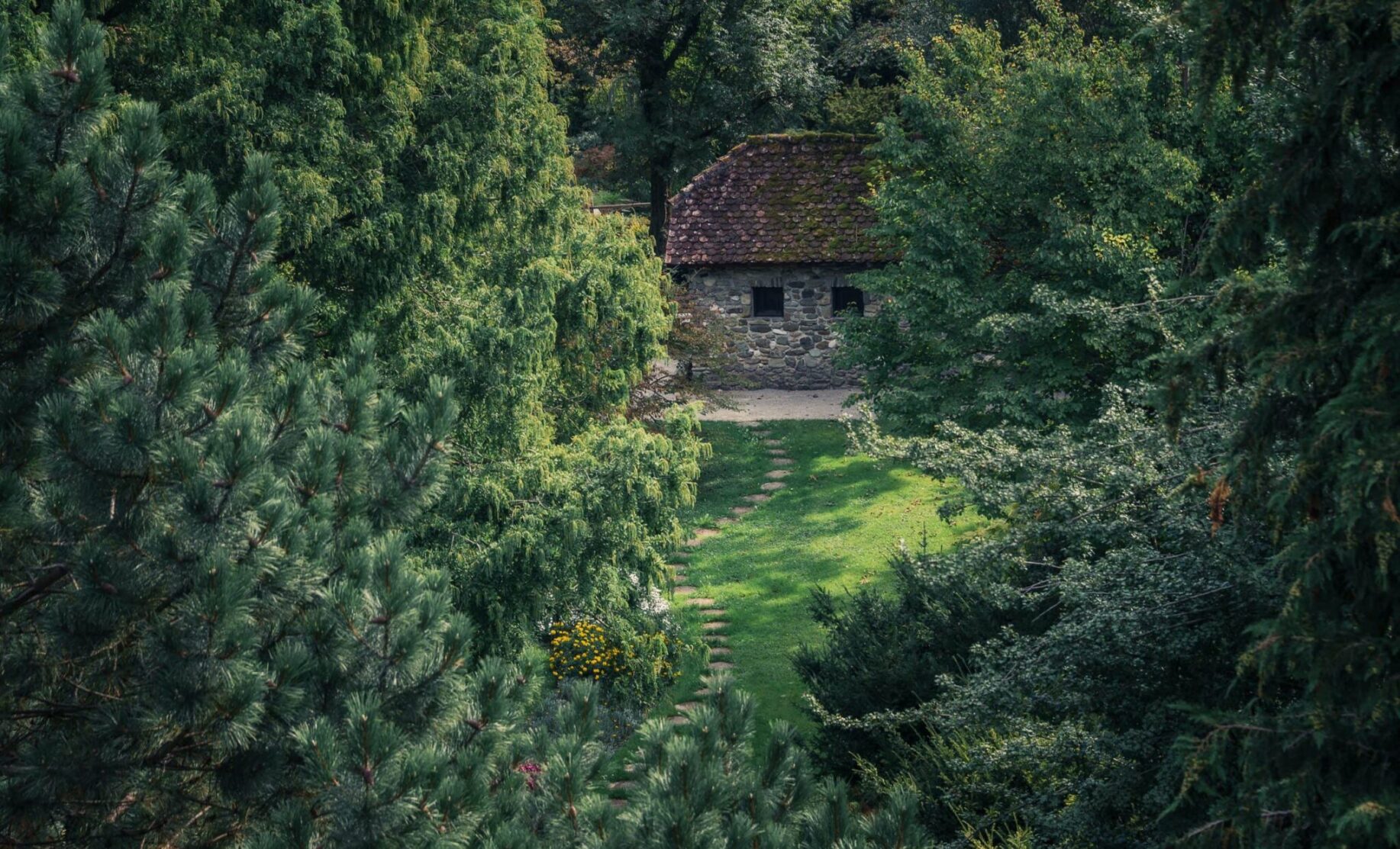homesteading: how we finally bought our farm - The Peasant's Daughter