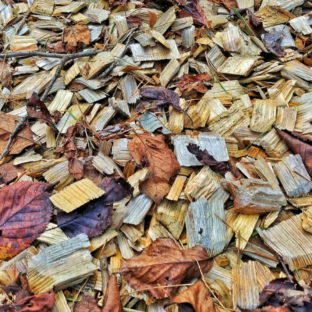 How To Lay Mulch Over Grass {Step-by-Step Guide} - The Peasant's Daughter