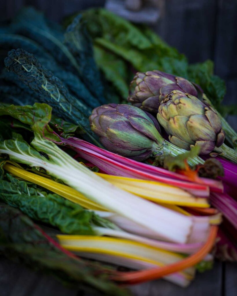 Back To Eden Gardening Method {Everything You Need To Know}