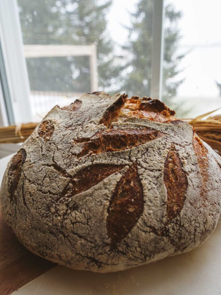 Milling Flour at Home: Everything a Beginner Needs to Know - The ...