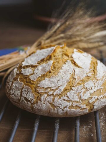 Milling Flour at Home: Everything a Beginner Needs to Know - The ...