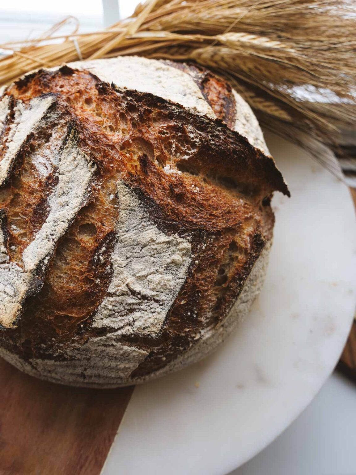 Milling Flour at Home: Everything a Beginner Needs to Know - The ...