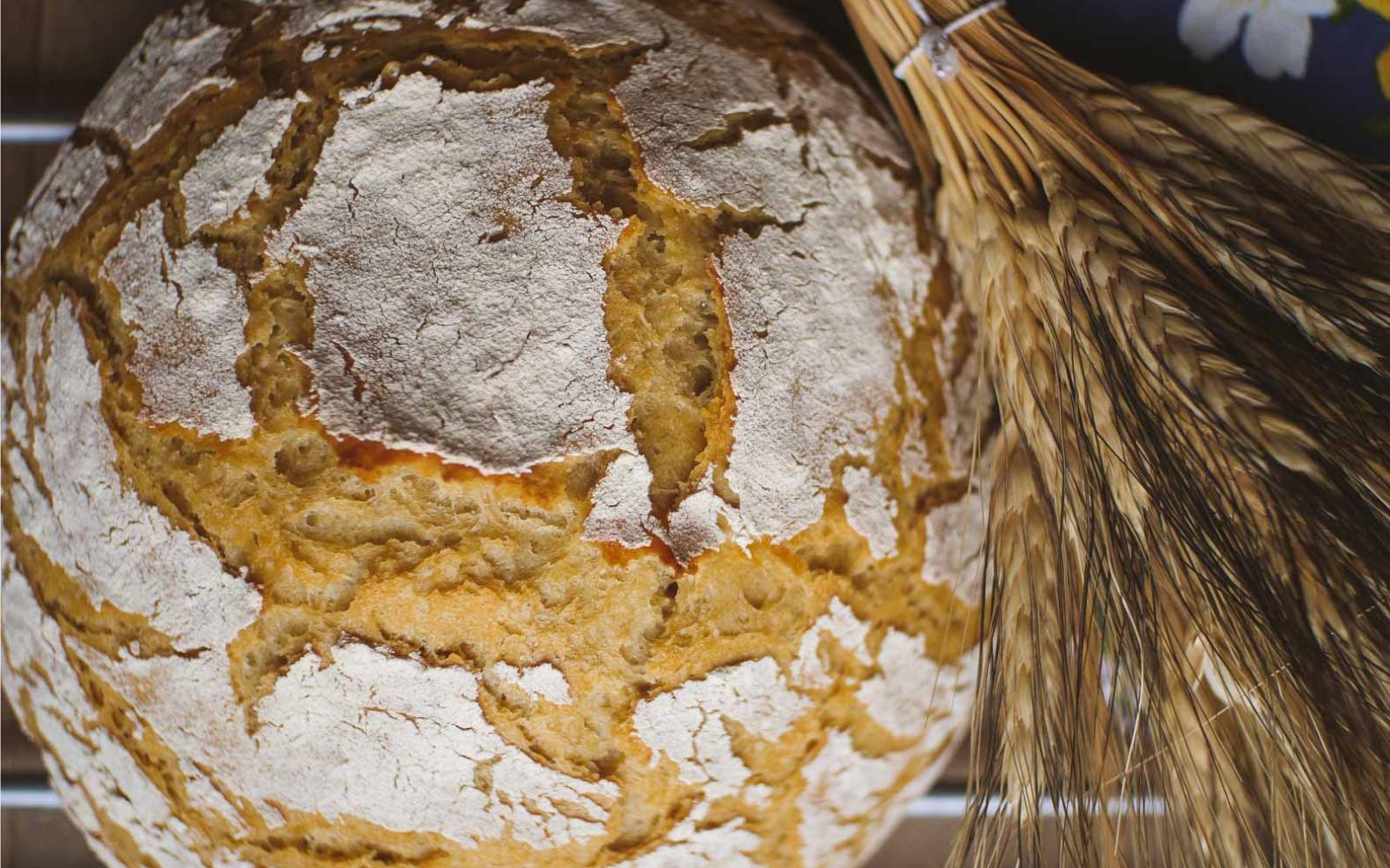 Milling Flour at Home: Everything a Beginner Needs to Know - The ...