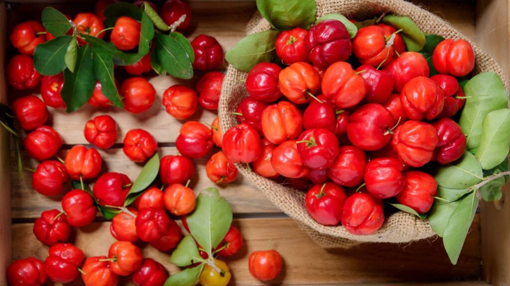 15 Fast-Growing Fruit Trees That Will Produce a Sweet Harvest in No ...
