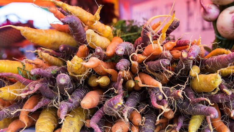 15 Carrot Growing Secrets For Your Best Harvest Ever The Peasants Daughter