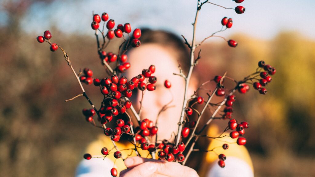 12 Edible Berries That Grow on Trees - The Peasant's Daughter