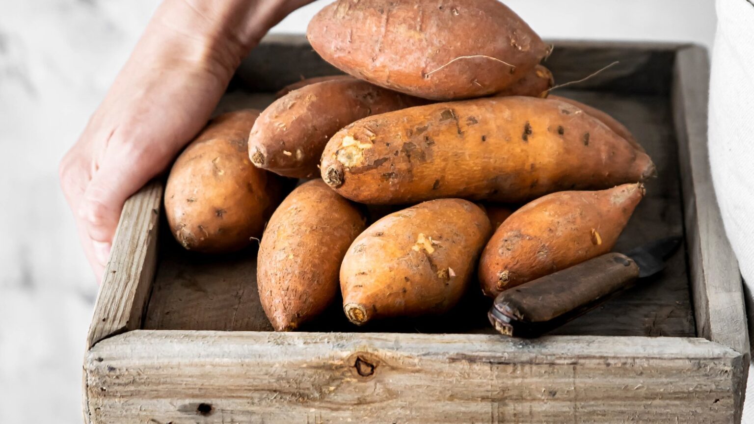 14 Vegetables That Thrive Grown in Poor Soils - The Peasant's Daughter