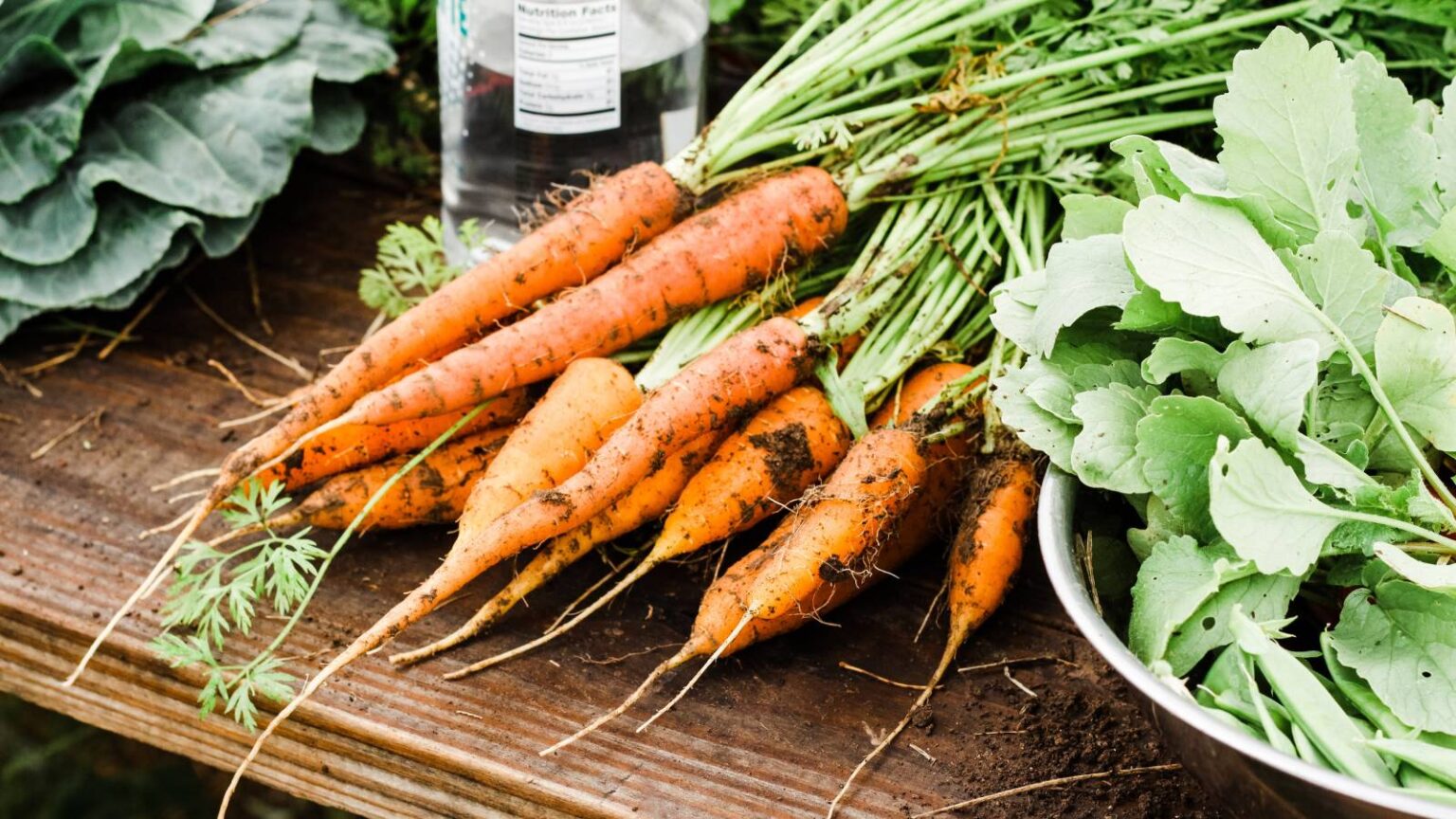 18 Crops to Plant in July for a Late Summer and Fall Harvest - The ...
